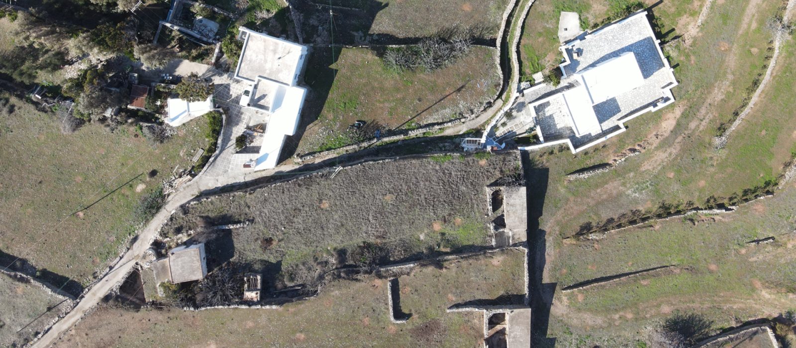 ORA D'ORO - The Hive Architects